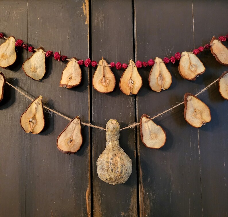 Primitive Farmhouse Dried Cranberry Pear Homespun Garland - Etsy