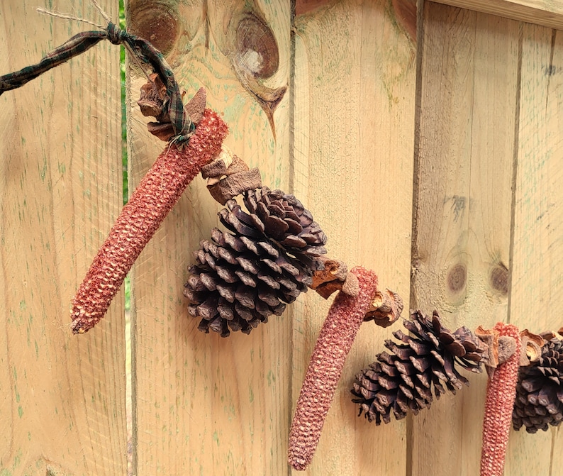 Primitive Rustic Dried Corn Cob Pine Cone Sweet Potato Garland - Etsy