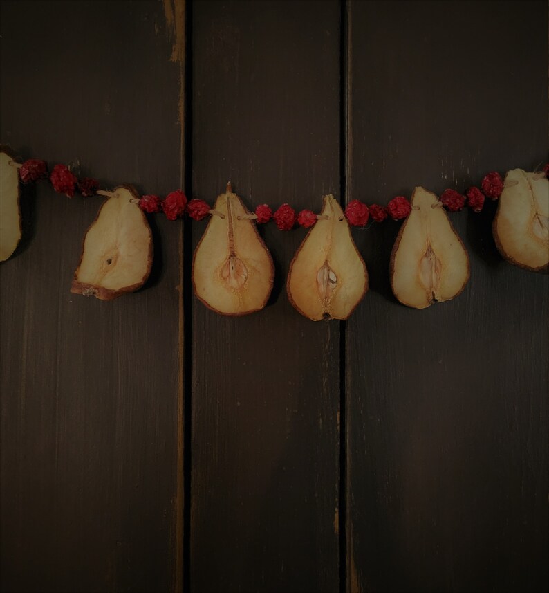 Primitive Farmhouse Dried Cranberry Pear Homespun Garland - Etsy