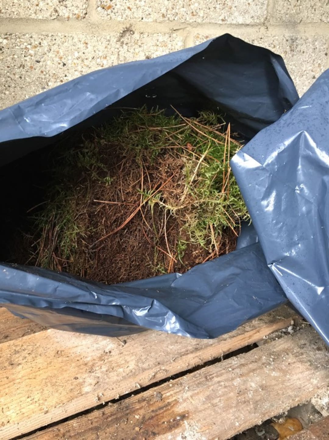 Bag of Moss for Christmas Wreath Making Etc approx 2 Kilograms Free ...