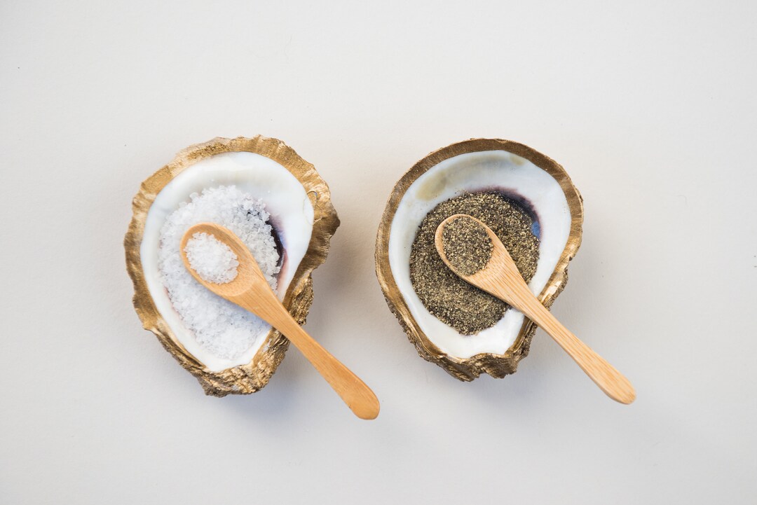 Salt + Pepper Ocean Dish Set || Holiday Decor || Charleston || Holiday ...