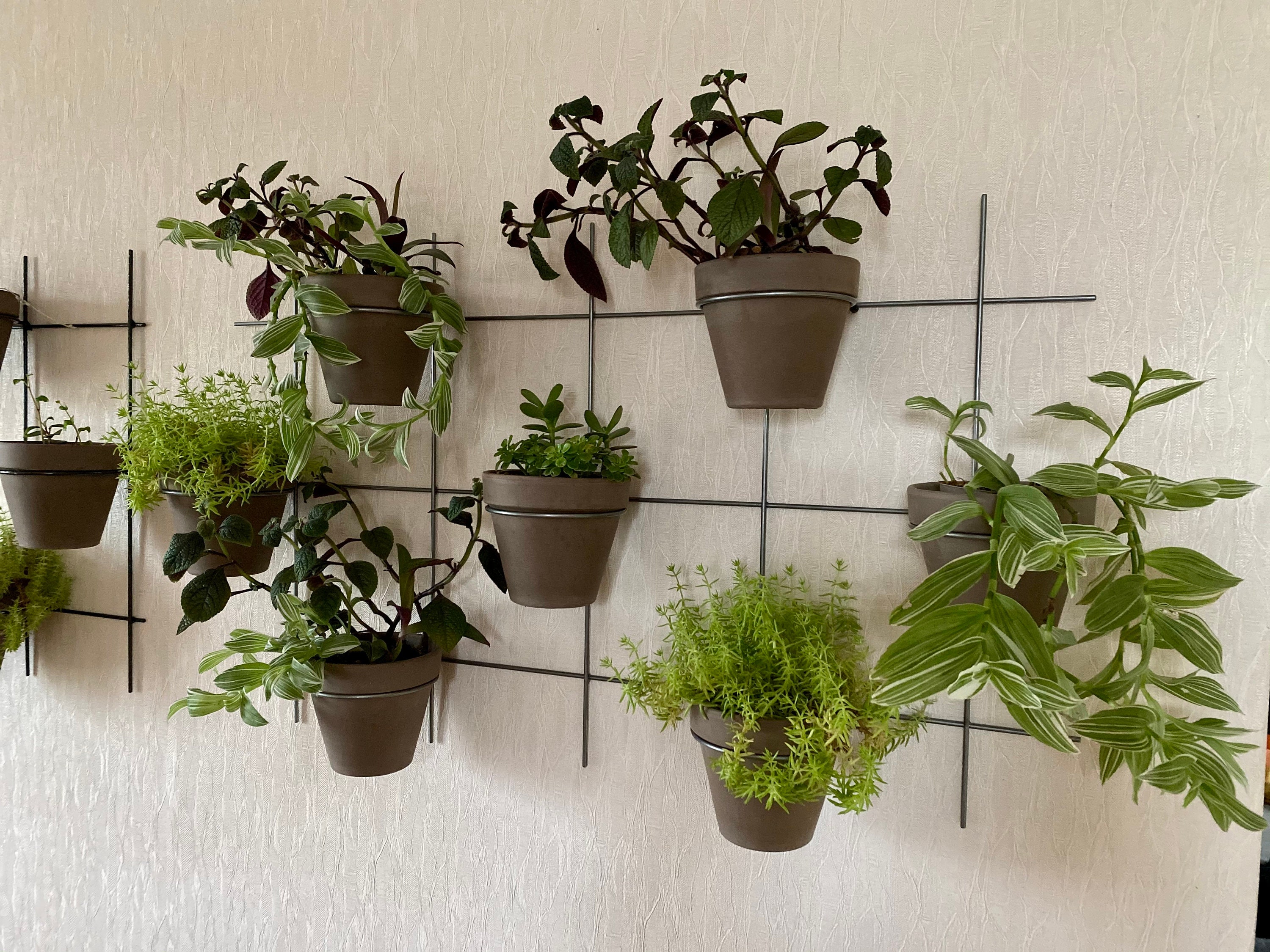 Large Horizontal Wall Hung Planter Flower Pot Holder - Etsy Canada