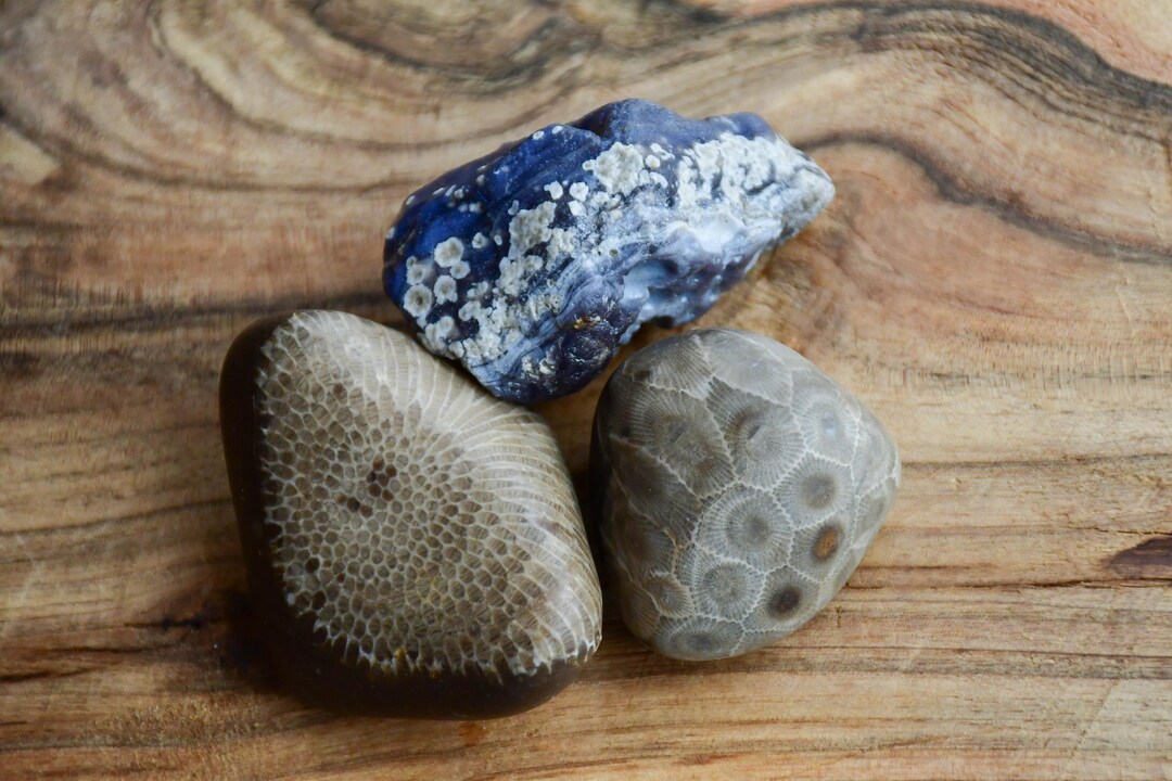 Awesome Rock Trio, Leland Blue, Charlevoix, and Petoskey Stone - Etsy