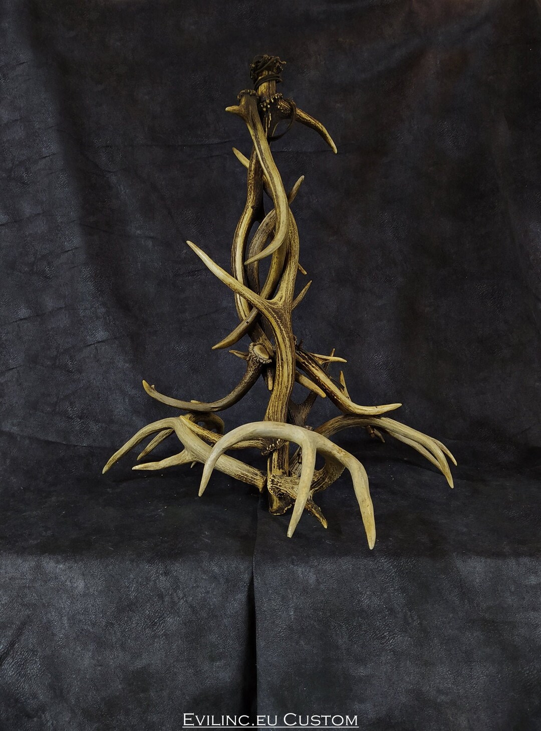 SOLD Authentic Antler Ceiling Lamp Horn Stag Deer Roe Crown Real Natura ...