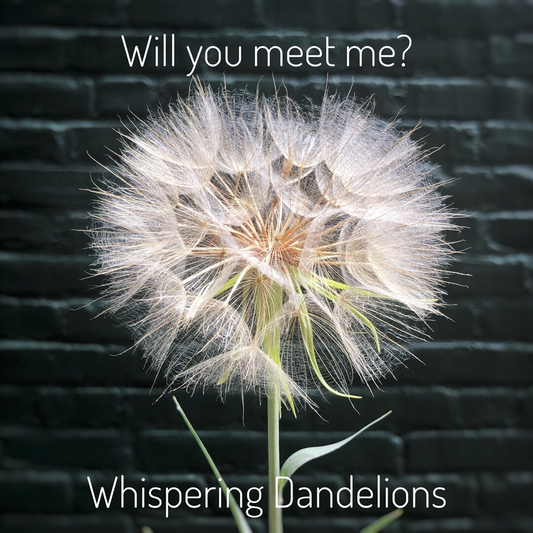 Whispering Dandelion Print - Etsy