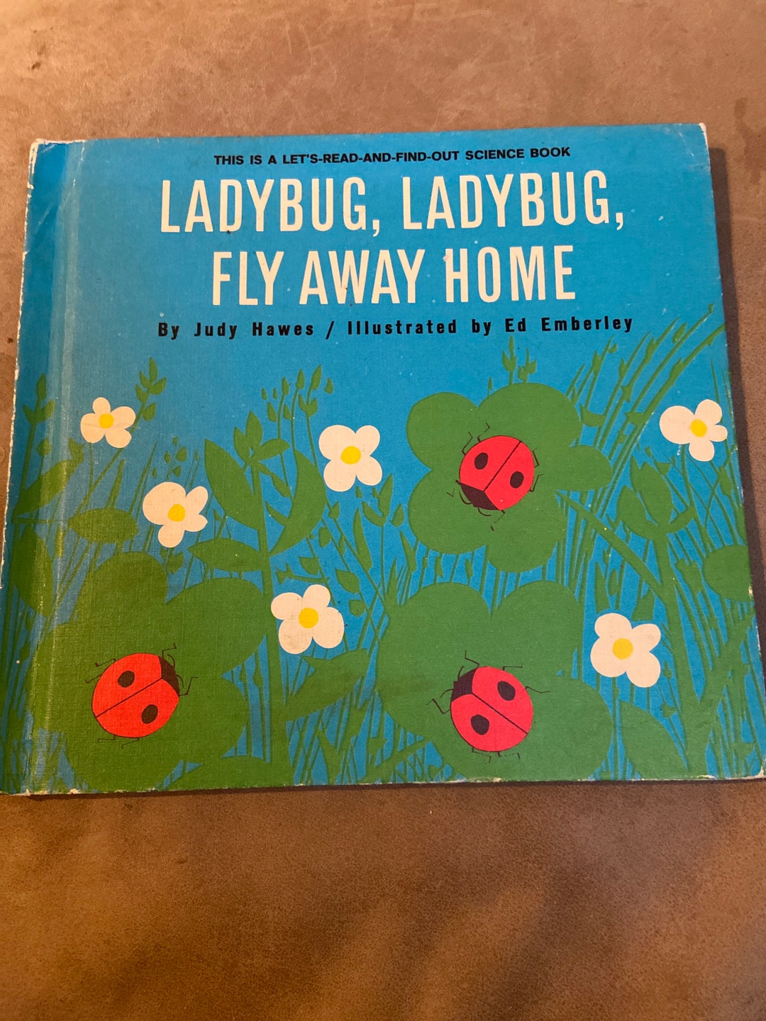 Vintage Ladybug Ladybug Fly Away Home Hardcover by Judy Hawes ...