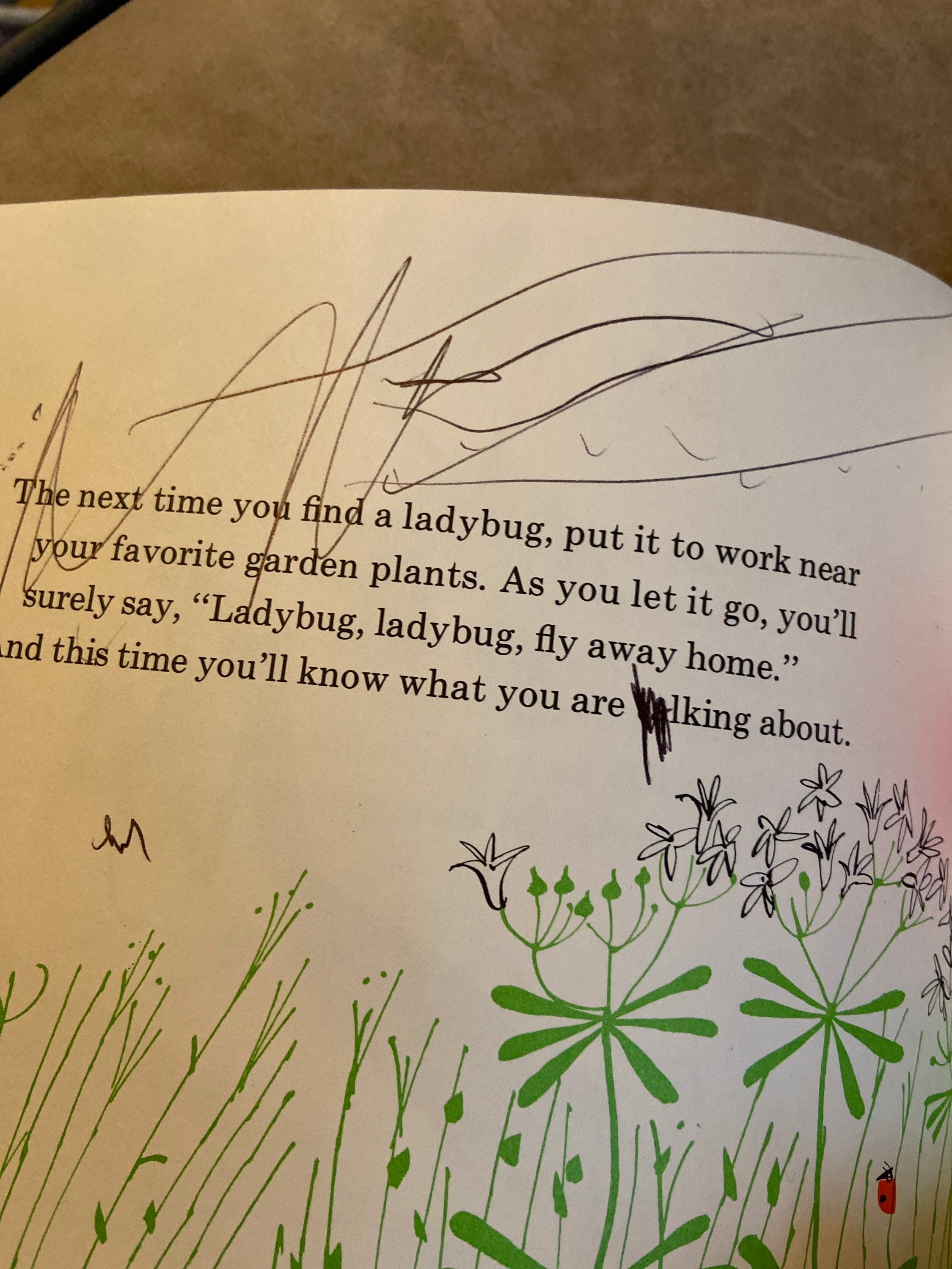 Vintage Ladybug Ladybug Fly Away Home Hardcover by Judy Hawes ...