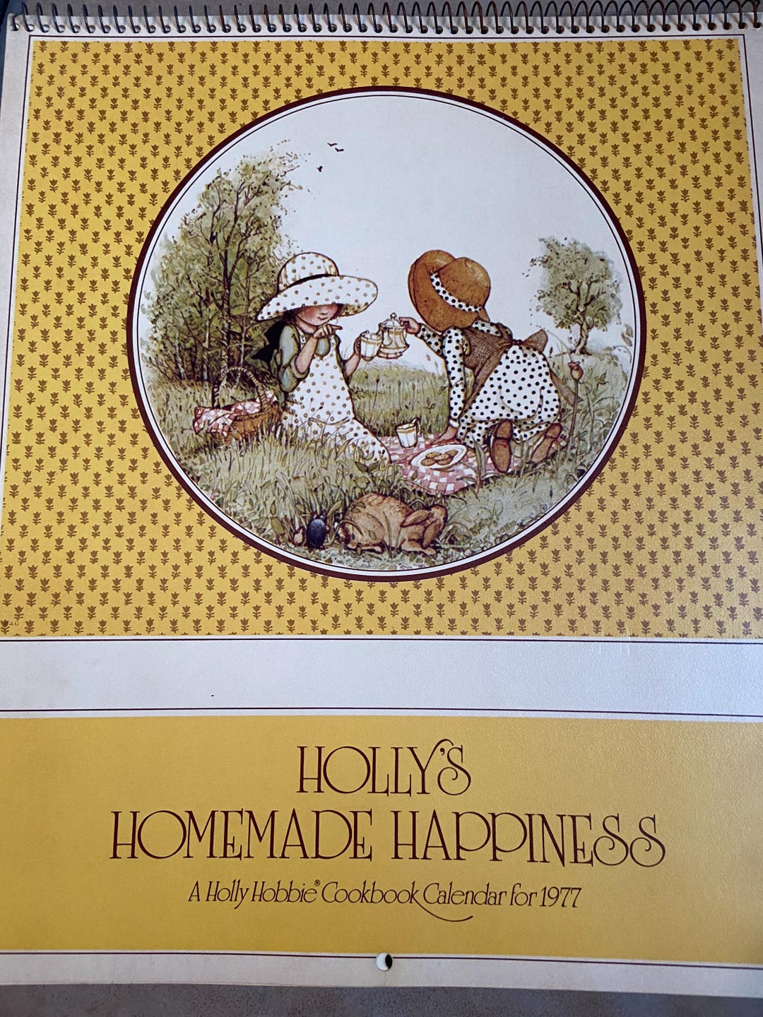 Vintage 1977 Holly Hobbie Cookbook & Calendar - Nostalgic Collectable ...