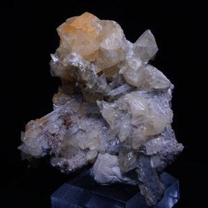 Calcite & Gypsum on Coral / 6.5cm Mineral Specimen / Rucks Pit, Florida ...