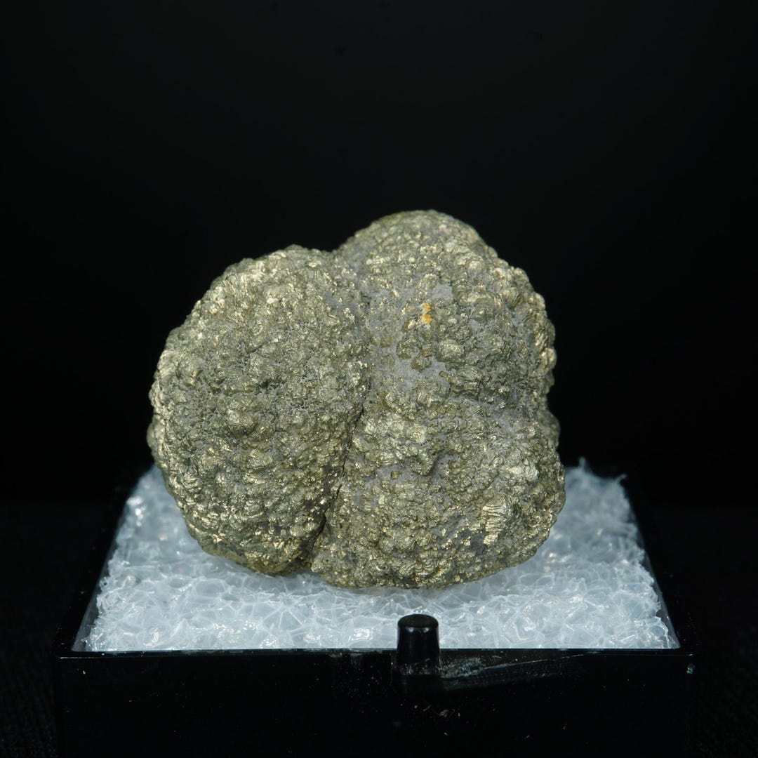 Pyrite on Fossil / Spring Creek, New York / Thumbnail Mineral Fossil ...
