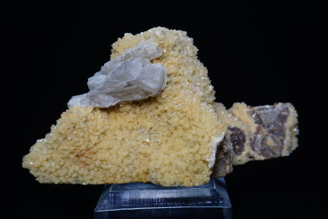 Calcite & Barite / Septarian Nodule Dragon Stone / Mount Carmel ...