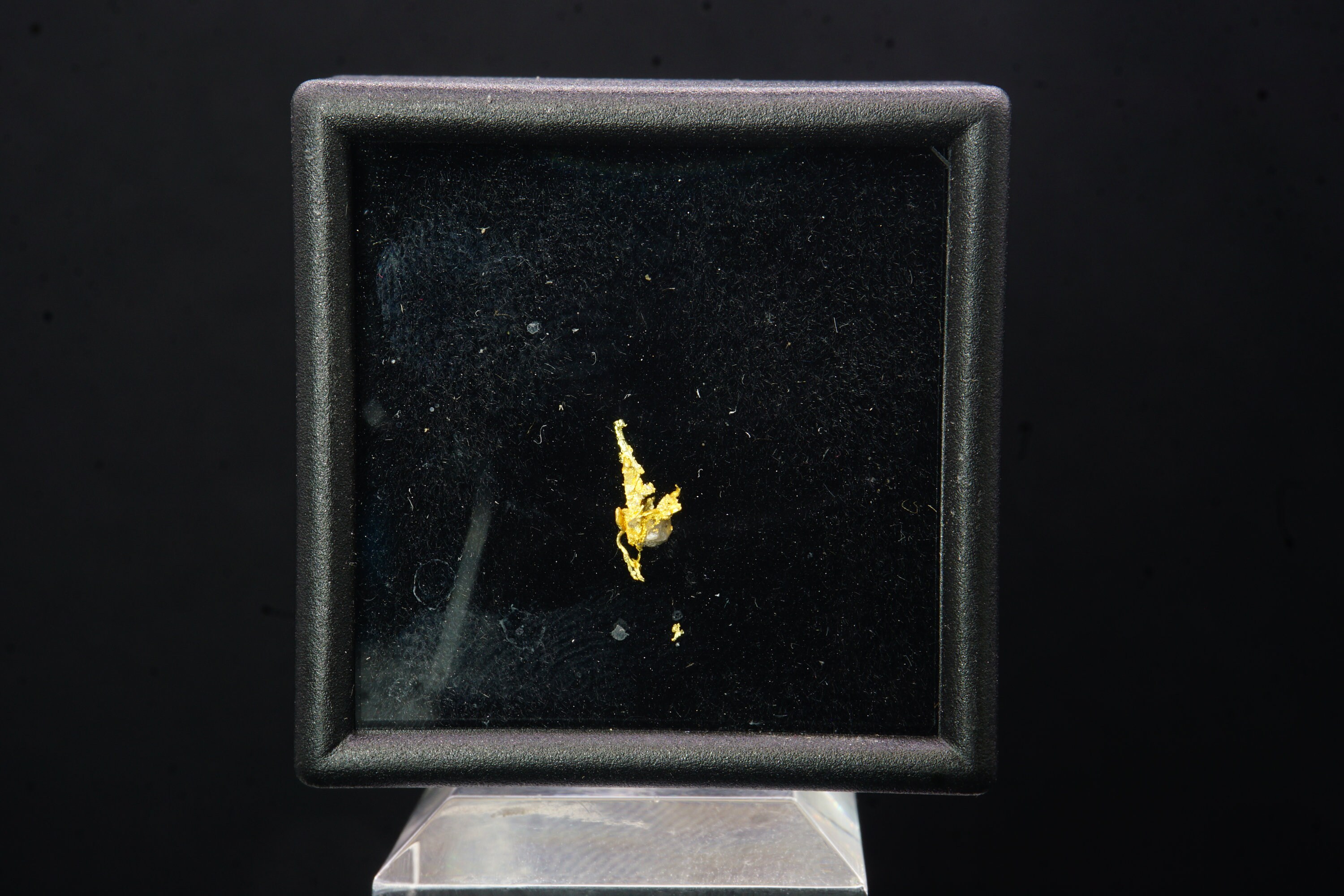 Crystalline Gold in Gem Box / Mineral Specimen / Ibex Mine, Colorado - Etsy