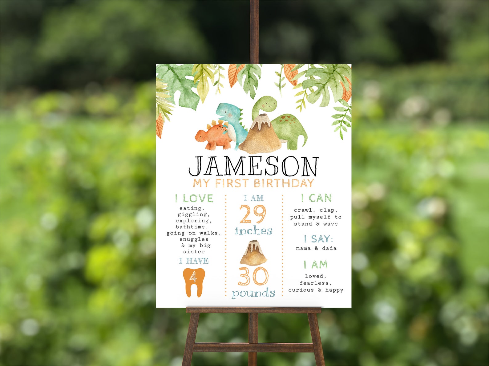 EDITABLE Dinosaur Birthday Board, 1st Birthday Milestone Board, Boy ...