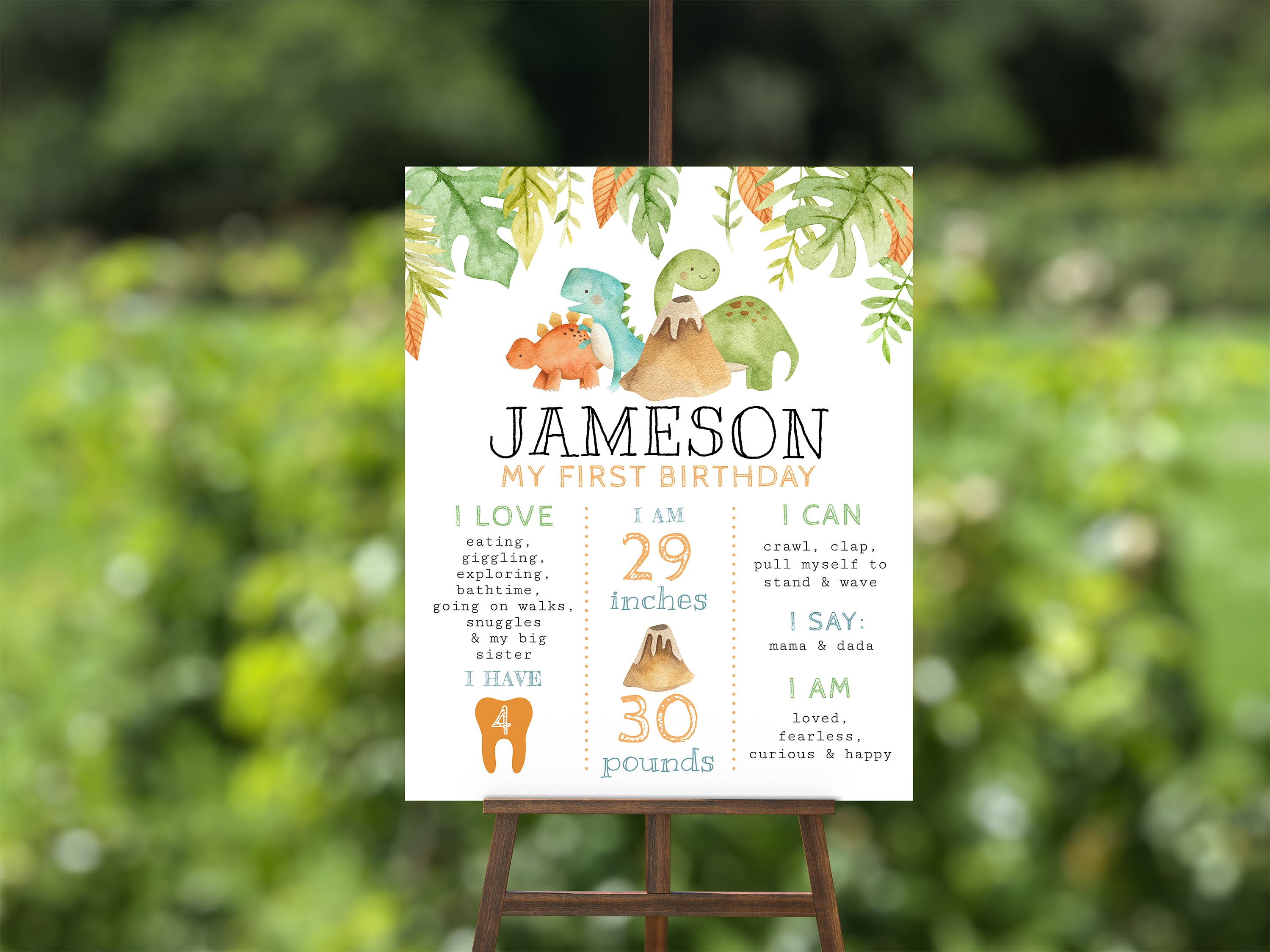 EDITABLE Dinosaur Birthday Board 1st Birthday Milestone | Etsy