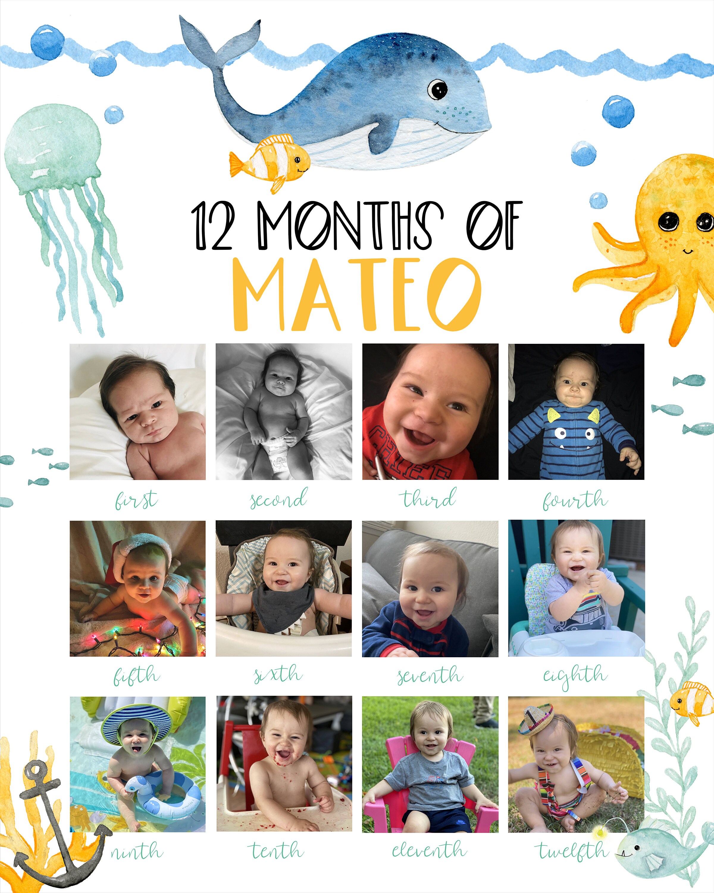 EDITABLE Under the Sea Picture Board Ocean Birthday Board | Etsy