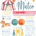 EDITABLE Circus Birthday Board, Carnival Board, Birthday Milestone ...