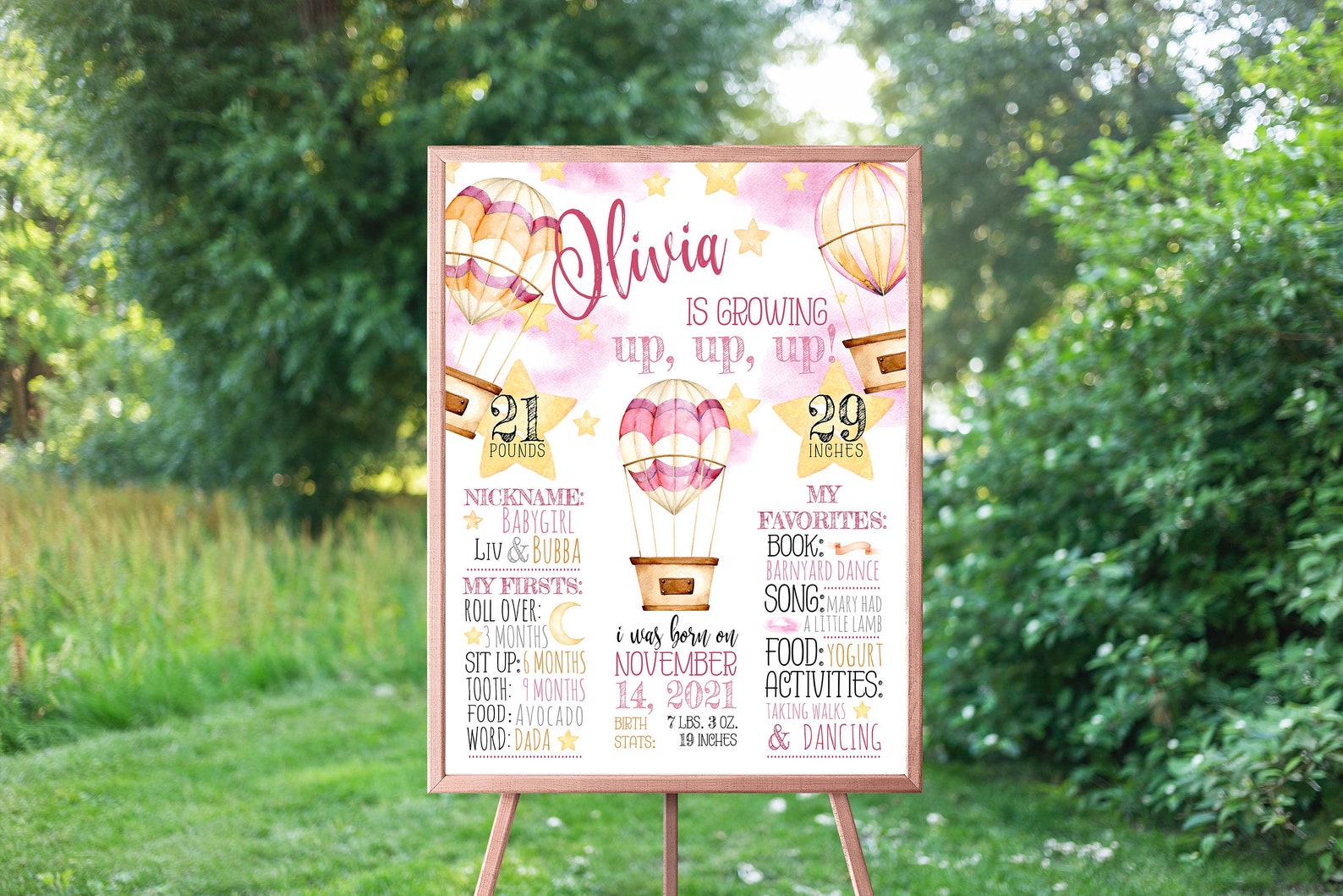EDITABLE Pink Hot Air Balloon Birthday Board Growing up up up | Etsy