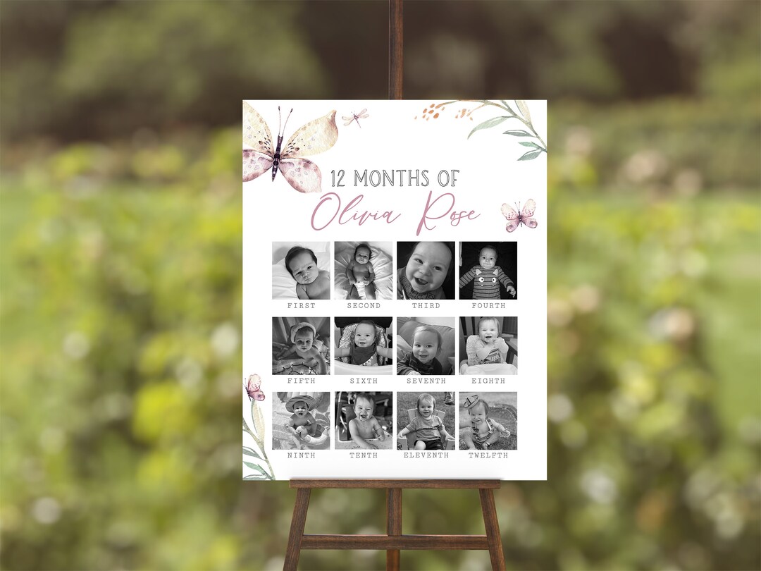 EDITABLE Butterfly Picture Board, Neutral Hues Birthday Board, Monthly ...