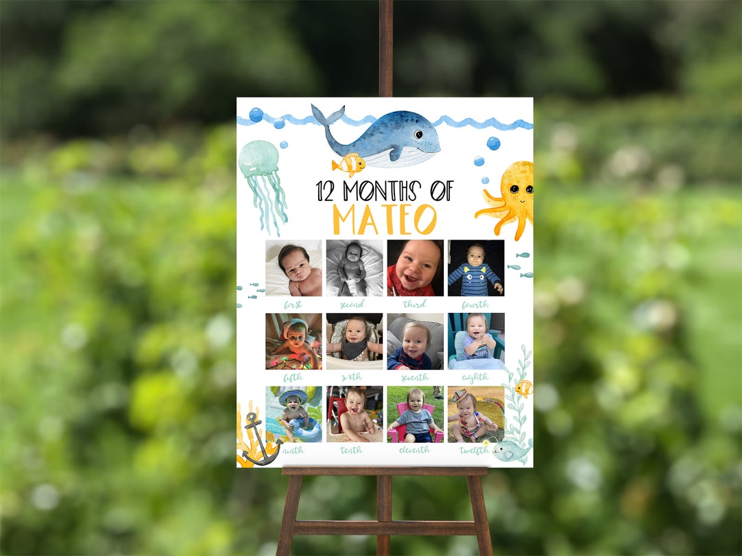 EDITABLE Under the Sea Picture Board, Ocean Birthday Board, Monthly ...