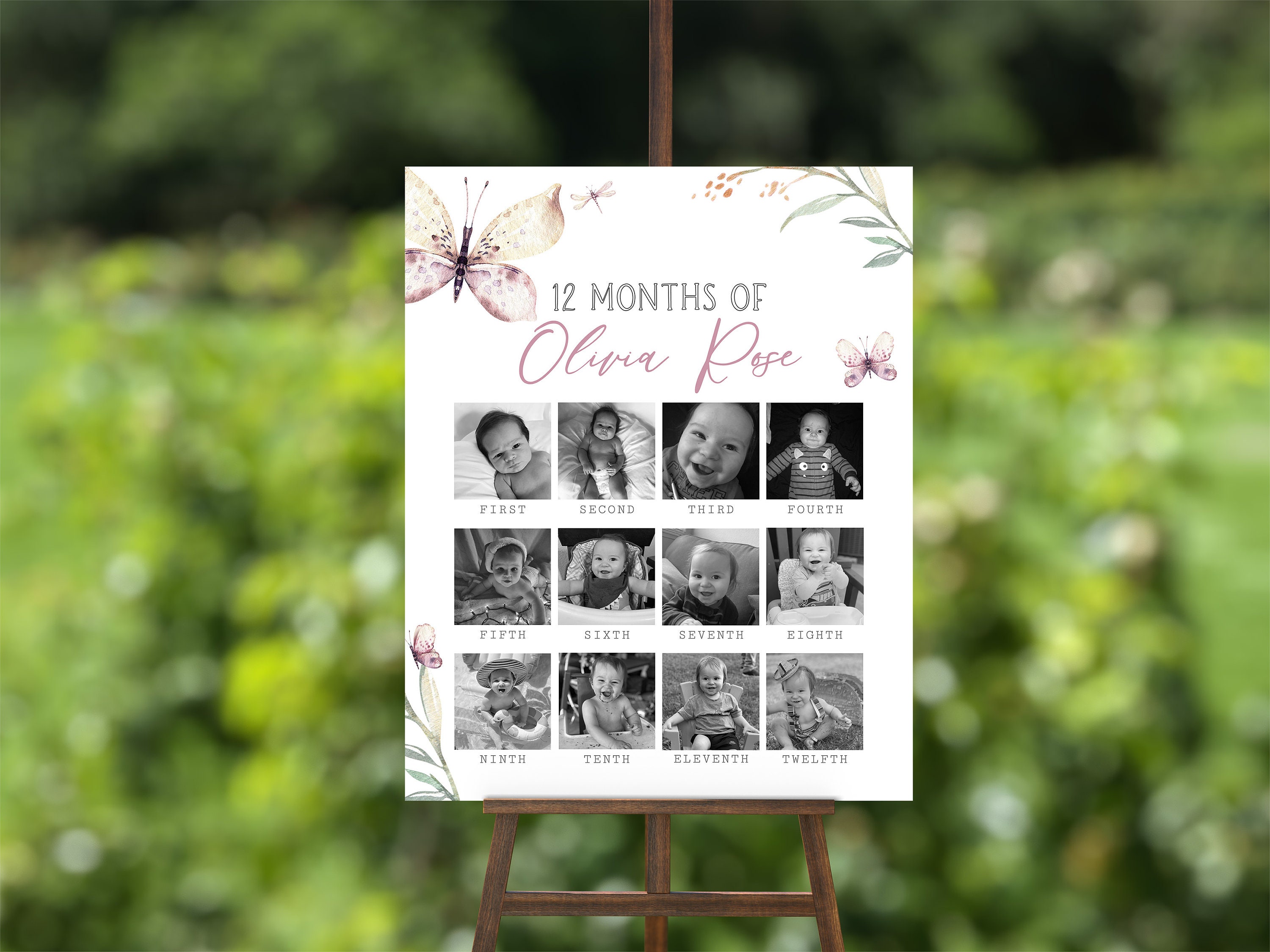 EDITABLE Butterfly Picture Board Neutral Hues Birthday Board - Etsy