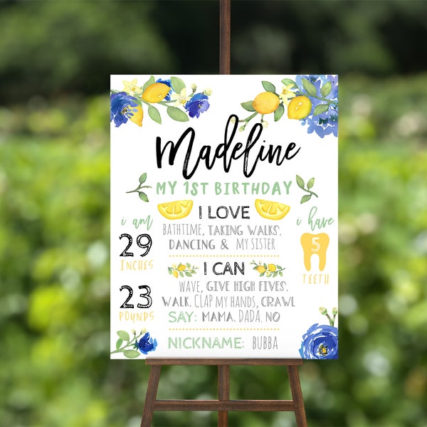 Citrus Birthday Decor - Etsy