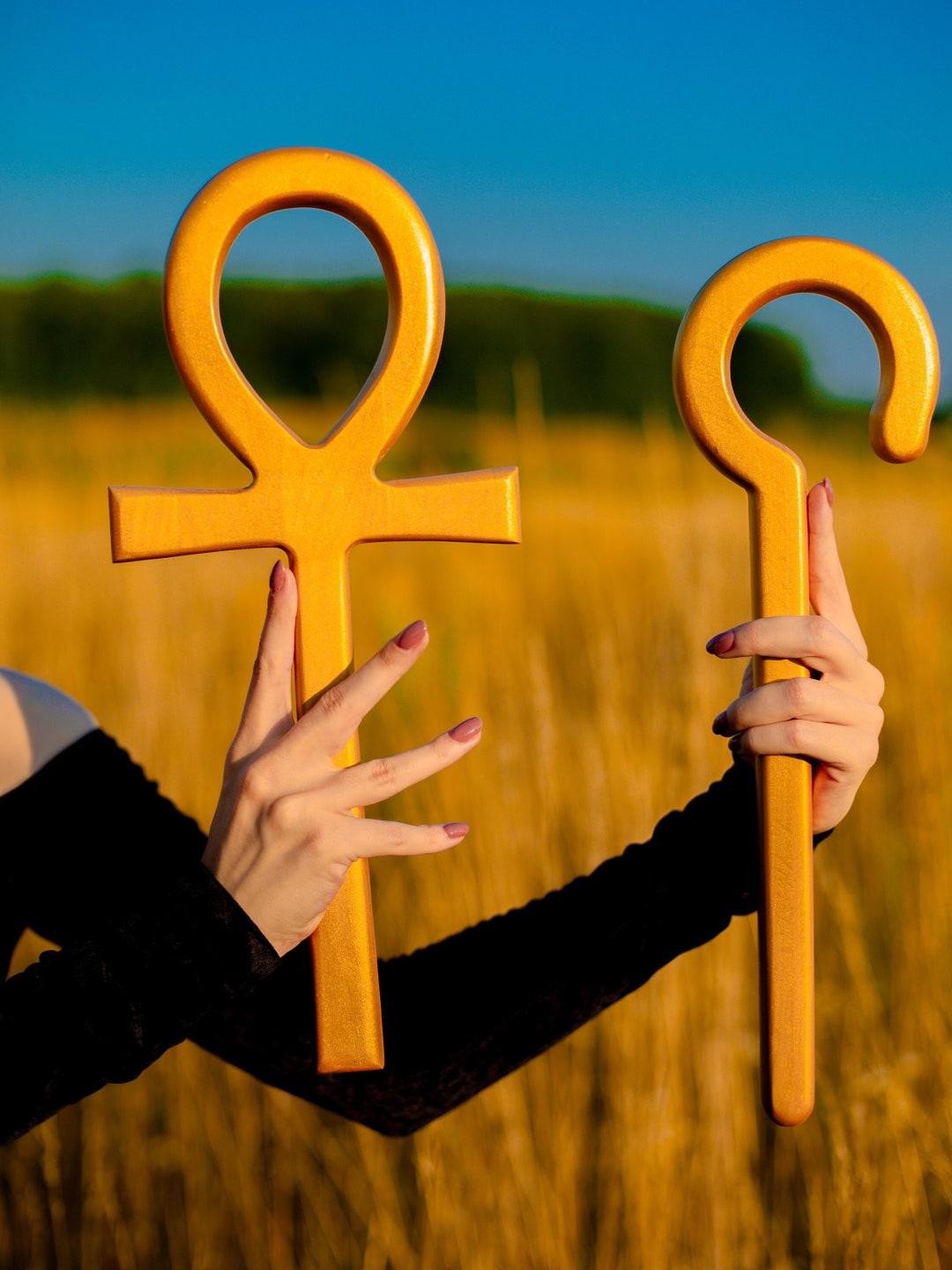 Pair of Egypt Symbols, Golden Ankh of Eternal Life, Egyptian Cross ...