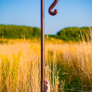 Shepherd's Staff Nature-inspired Design Rustic Wooden Custom Carved ...