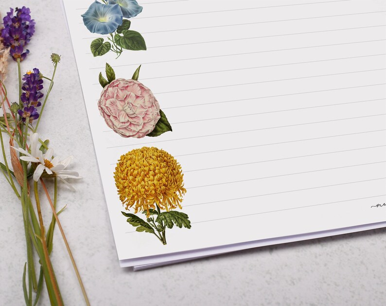 A4 Landscape Letter Writing Paper With Vintage Flower - Lined or ...
