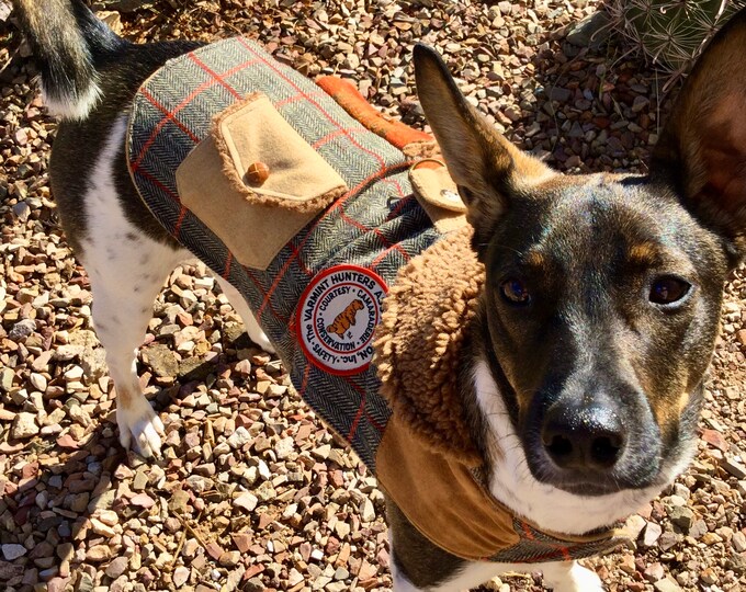 Dog Jacket-harris Tweed Dog Jacket-custom Dog Jacket,handmade Dog ...