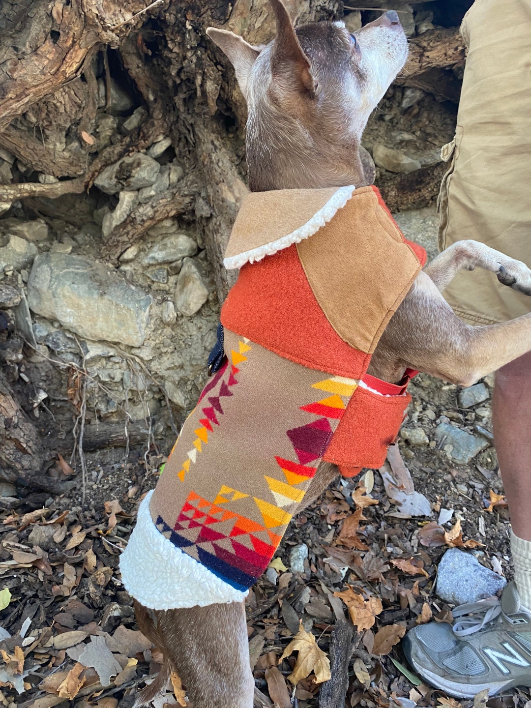 Vintage Pendleton Blanket Dog Jacket, Upcycled Dog Coat, Wool Lined ...