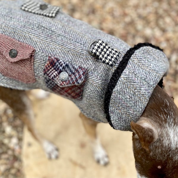 Tweed Dog - Etsy