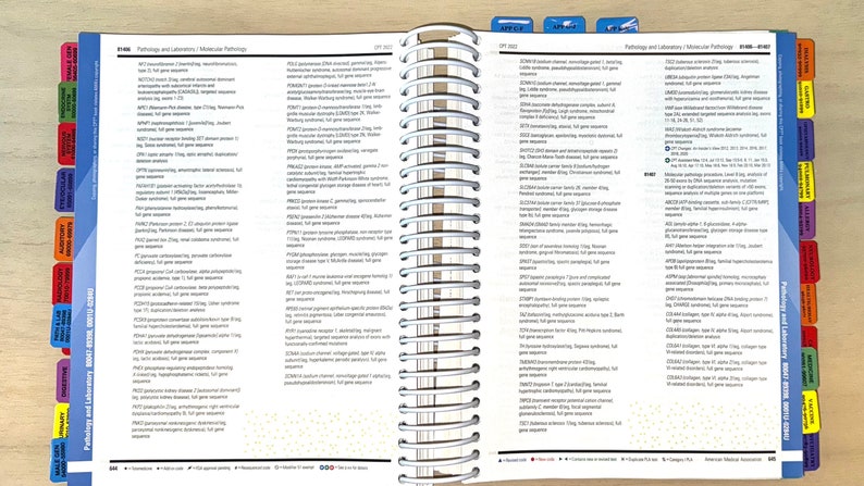 2025 CPT - Tabbing System | Medical Coding Tabs | Book NOT Included - Etsy