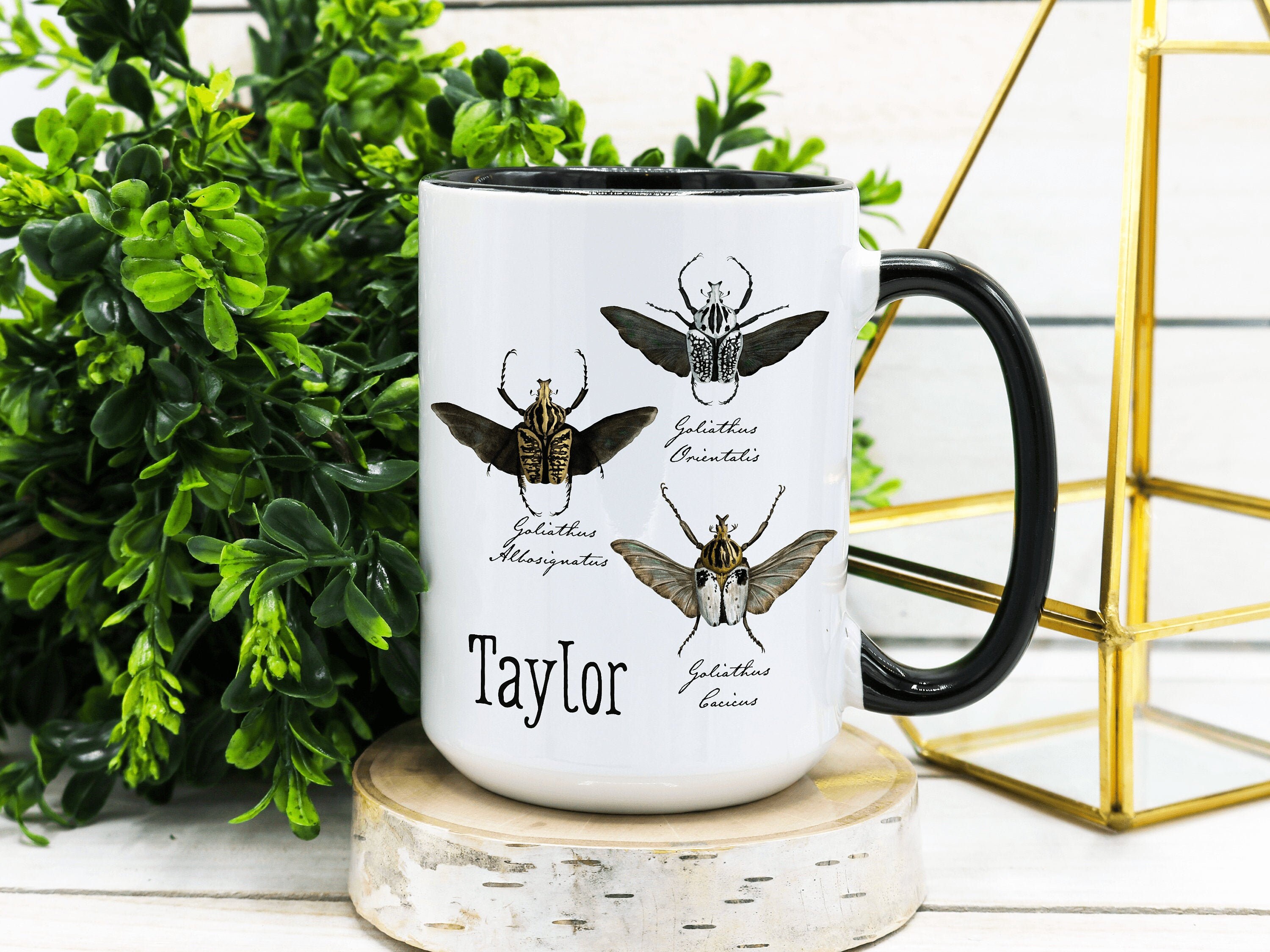 PERSONALIZED Insect Mug Insect Lover Gifts for Him Insect - Etsy