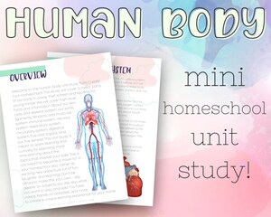 Body Matching Educational Activity Toddler Busy Printable My Body ...