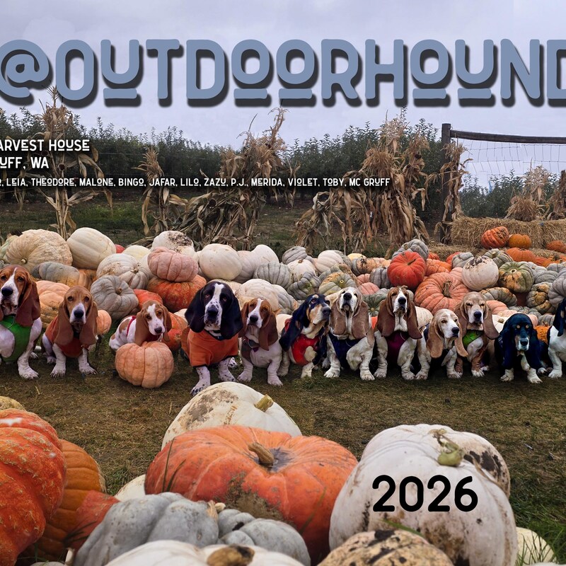 2026 Dog Calender - Etsy