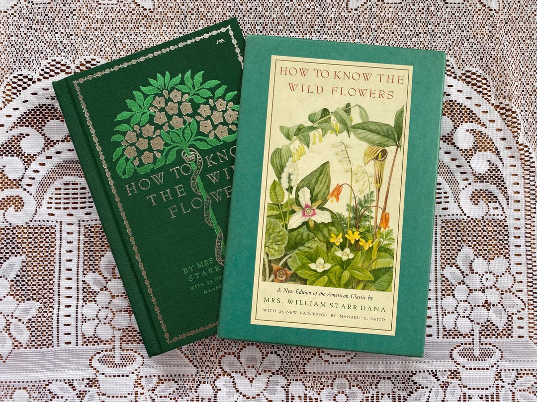 1989 How to Know the Wild Flowers, Botanical Book, Flower Illustrations ...