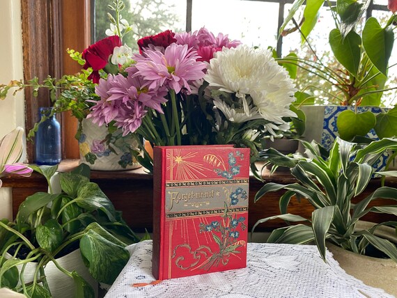 Antique German Forget Me Not Book Victorian Home Decor | Etsy