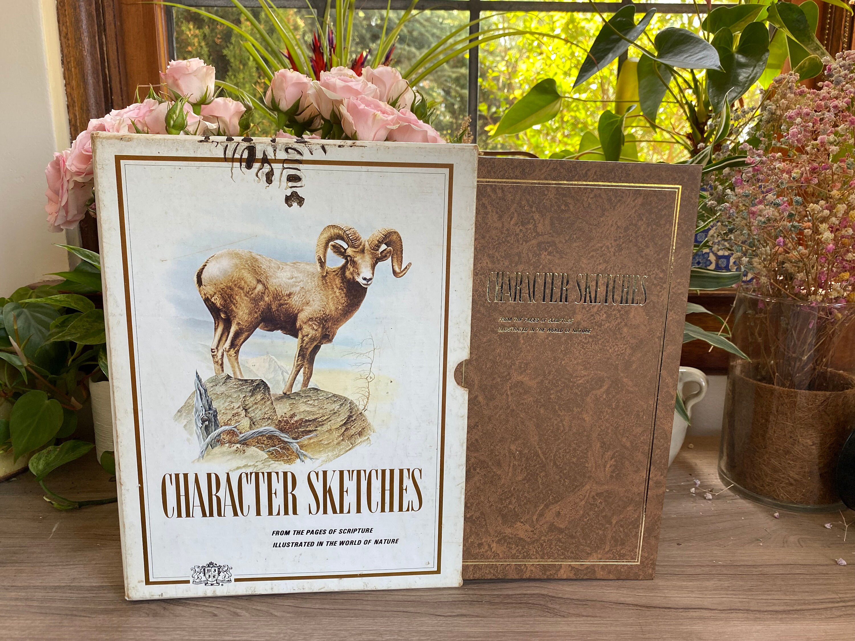 Naturebook Page For An Animal