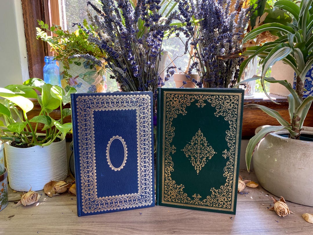 Vintage Blank gilded Journal, Vintage Blank Journal, Vintage Diary ...