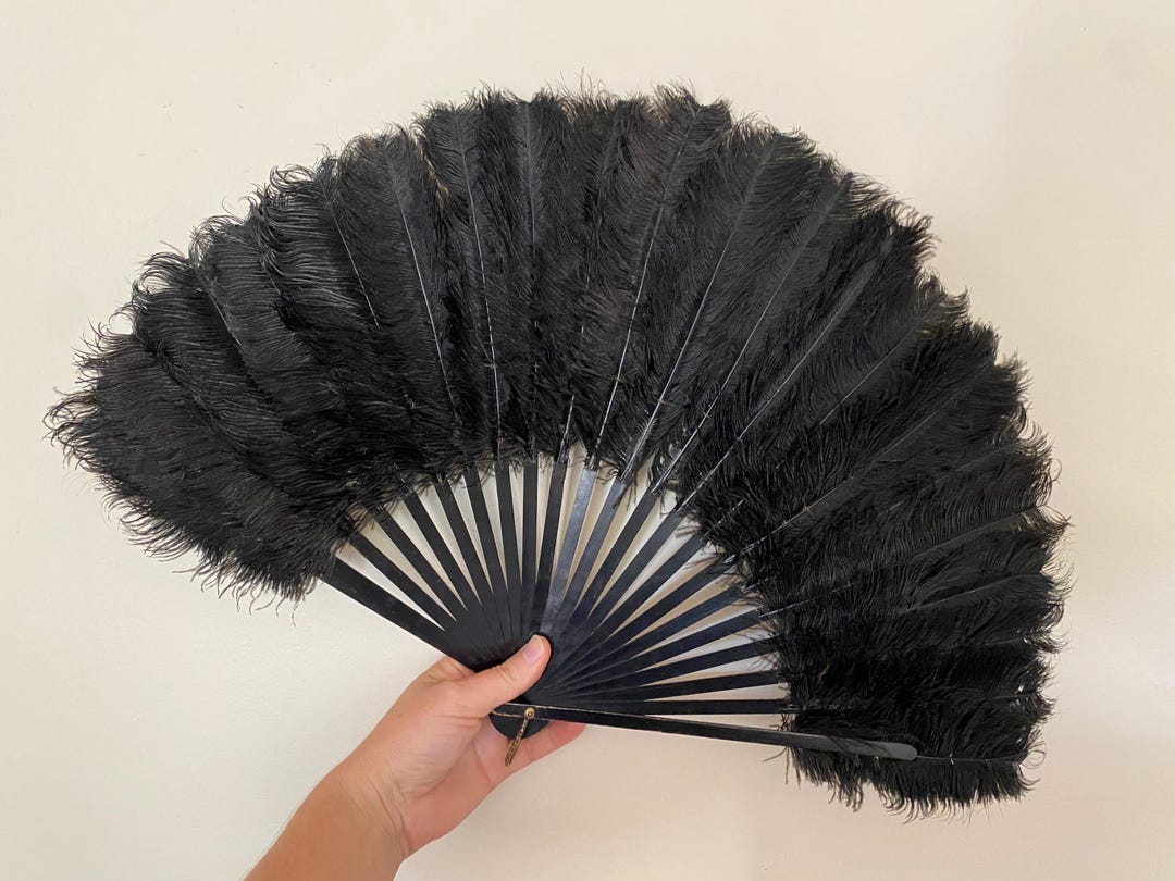 Vintage/antique Black Feather Hand Fan, Antique Hand Fan, Feather Hand ...