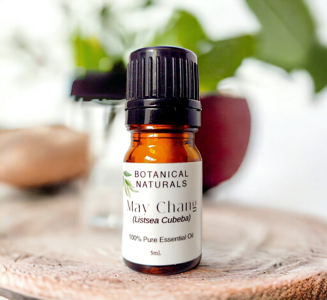 May Chang (litsea Cubeba) Essential Oil - Etsy