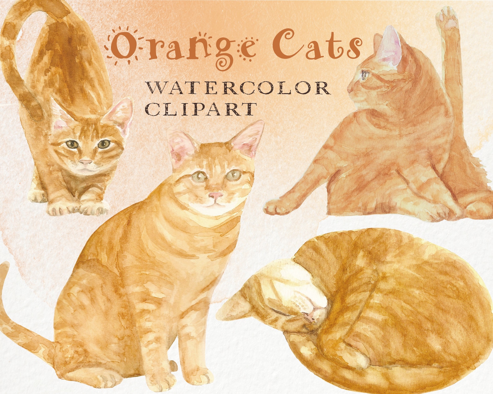 Orange Cats Hand-painted Watercolor Clipart PNG Digital Download - Etsy