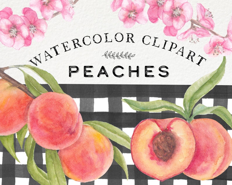 Peaches Watercolor Clipart Hand-painted Digital Download PNG - Etsy