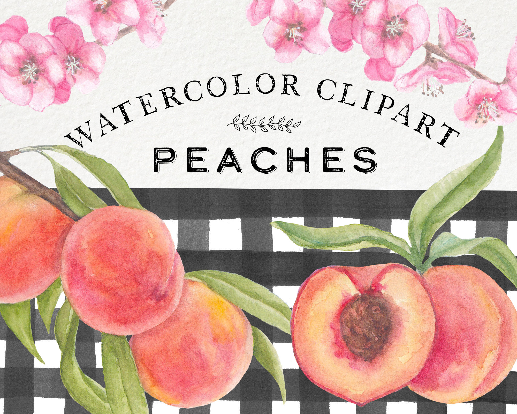 Peaches Watercolor Clipart Hand-painted Digital Download PNG - Etsy
