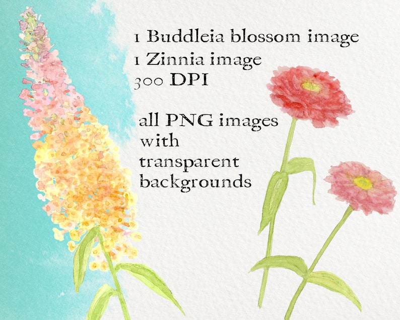 Butterflies Digital Download Watercolor Clipart - Etsy