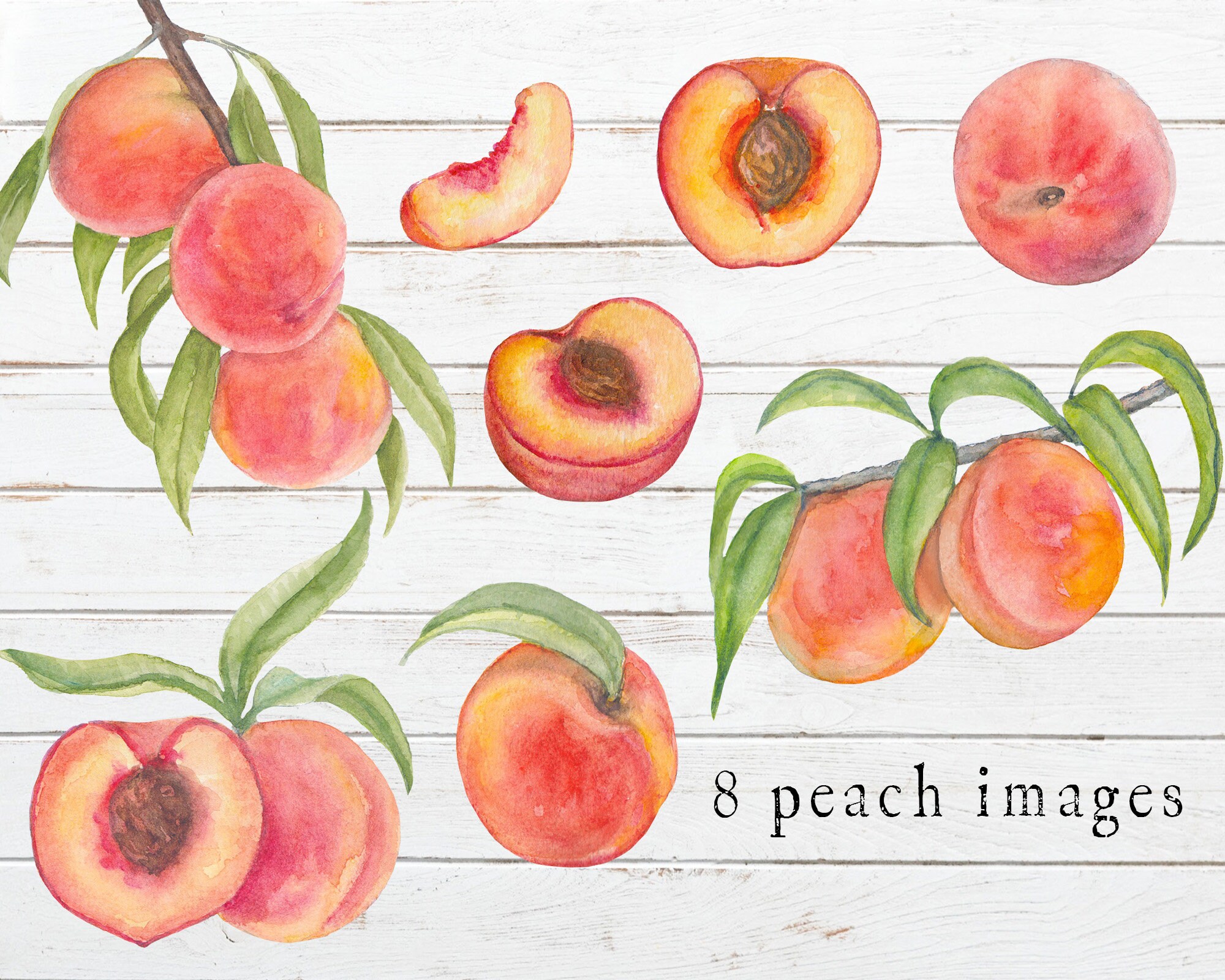 Peaches Watercolor Clipart Hand-painted Digital Download PNG - Etsy