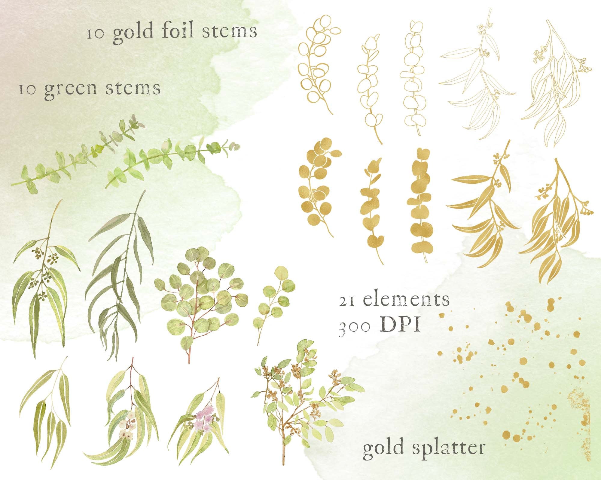 Eucalyptus & Gold Watercolor Clipart Digital Download - Etsy