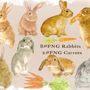Rabbits Watercolor Clipart Digital Download - Etsy