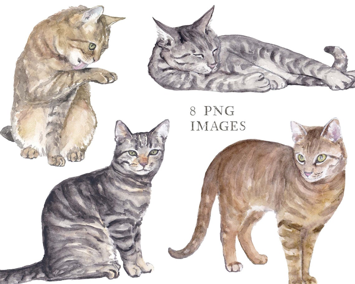 Tabby Cats Watercolor Clipart Digital Download - Etsy