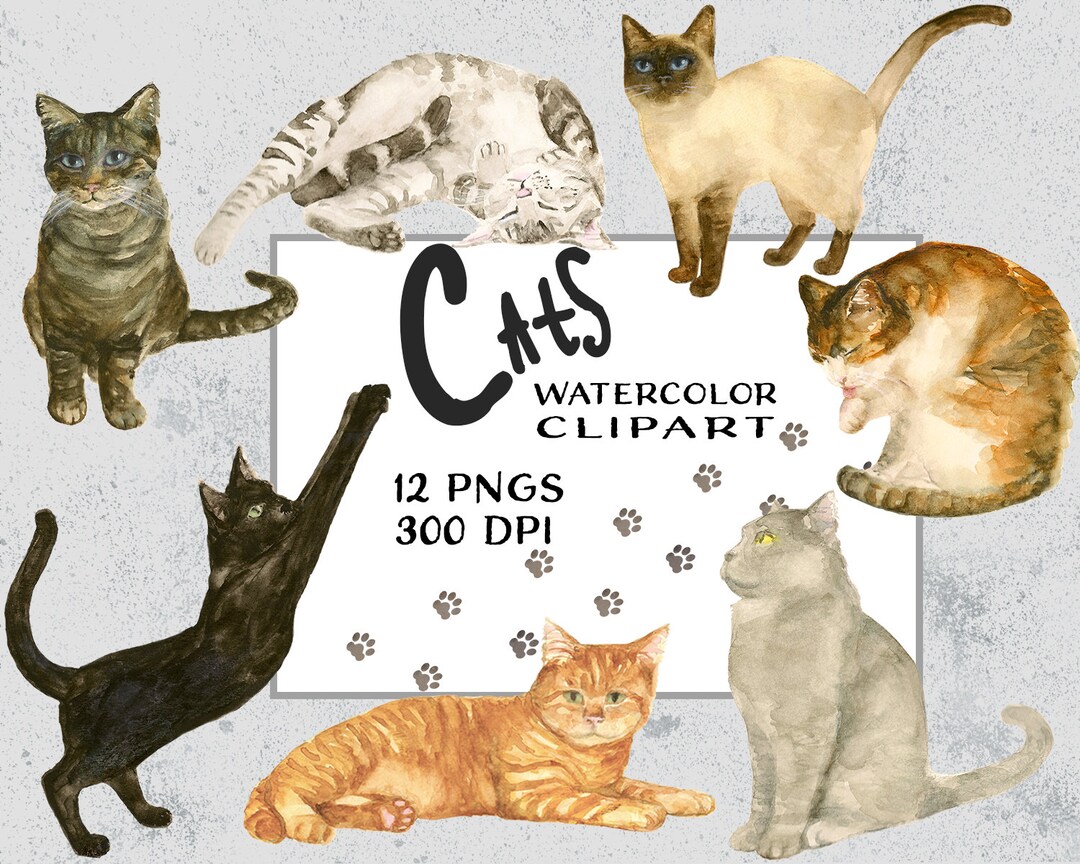 Cats Watercolor Clipart - Etsy